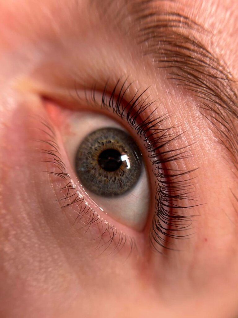 Kaş ve kirpik salonu Studio Lash&Brow, Moskova ve Moskovskaya oblastı, foto