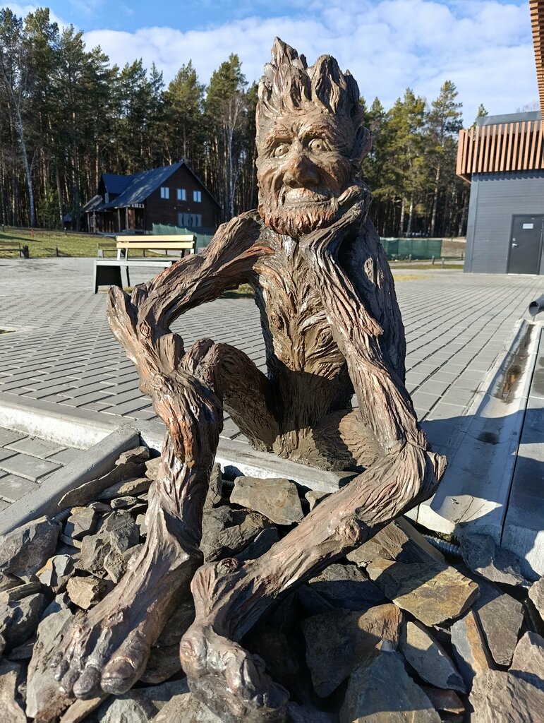 Resort oteller, tesisler ForRest, Novosibirskaya oblastı, foto