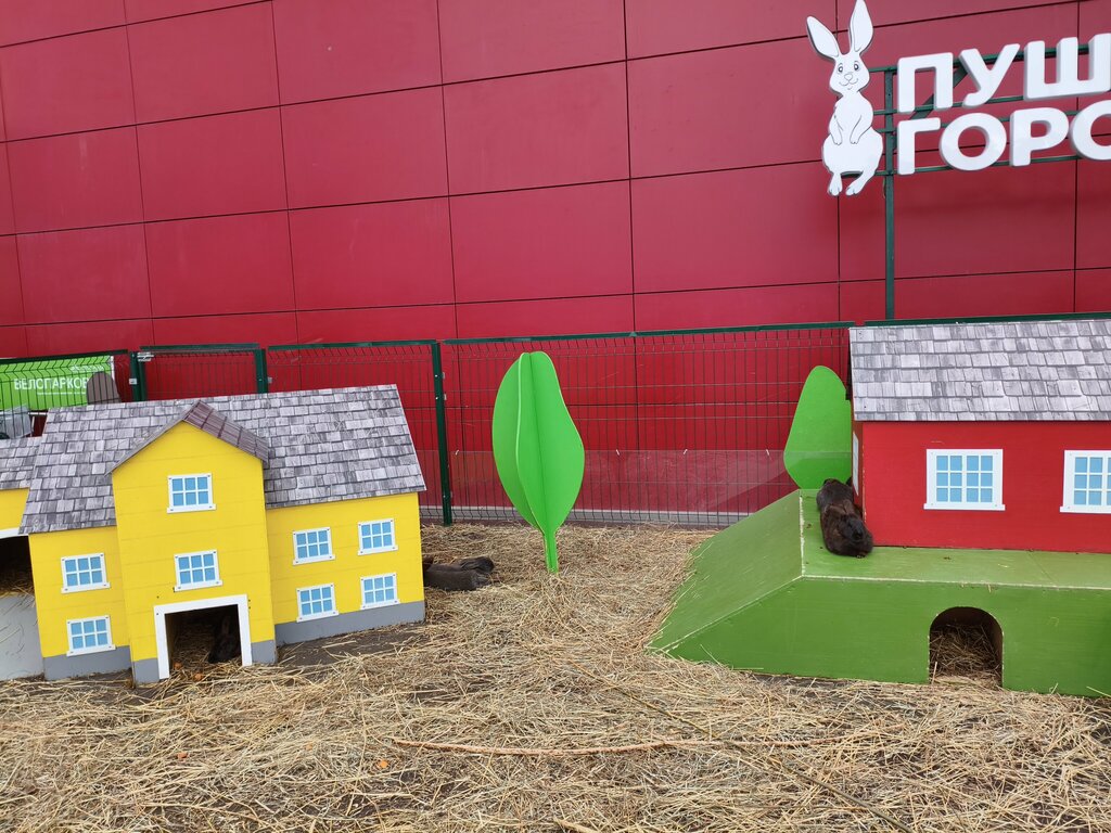 Hayvanat bahçeleri Дворец пушистиков, Petrozavodsk, foto