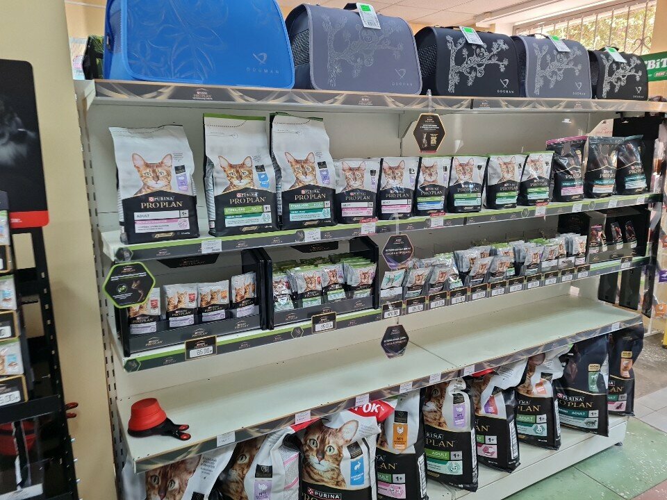 Petshop Пушистые Друзья, Saratov, foto