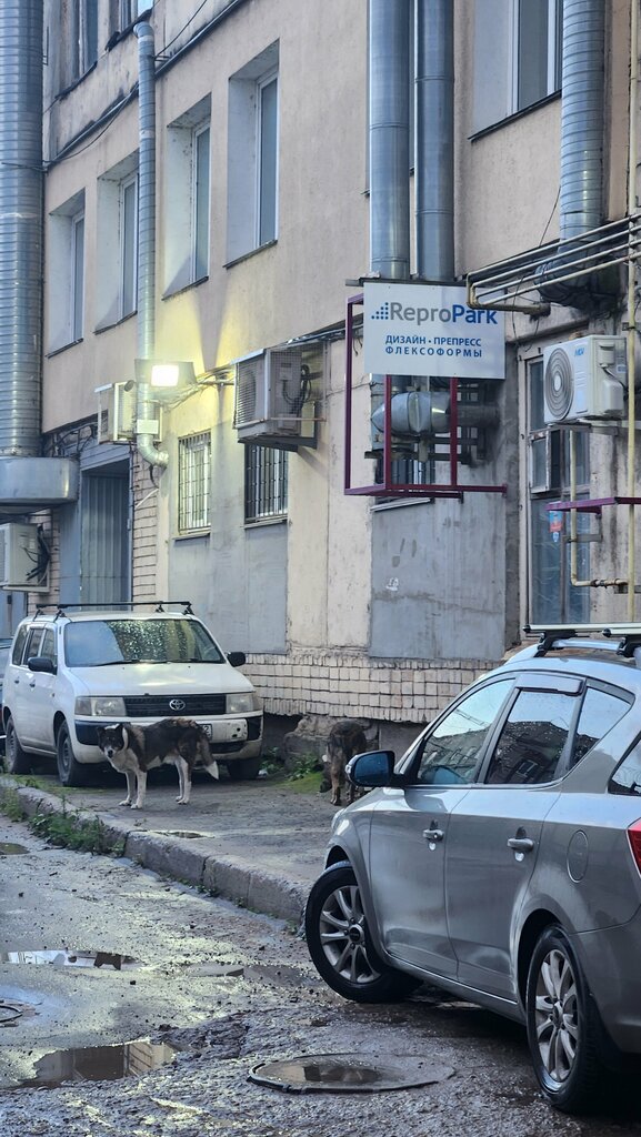 Paketleme malzemeleri firmaları Repropark - NN, Nijni Novgorod, foto