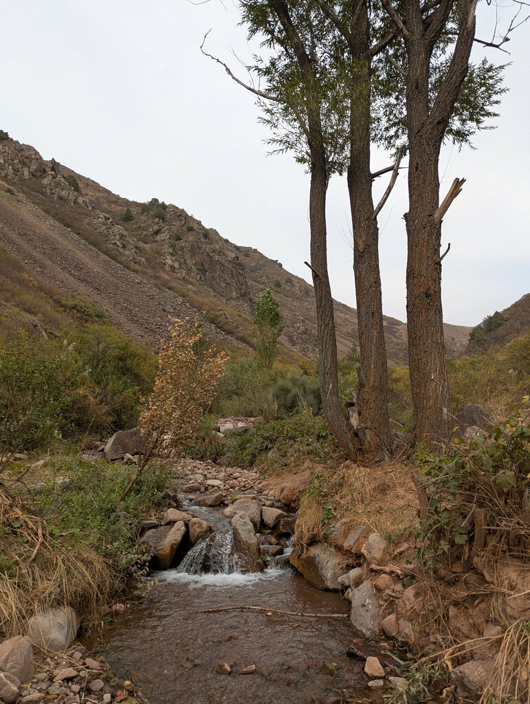 Doğa Ущелье Бир-Булак, Çuy ili, foto