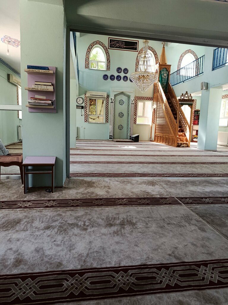 Cami Hicret Mahallesi Cami, Elazığ, foto