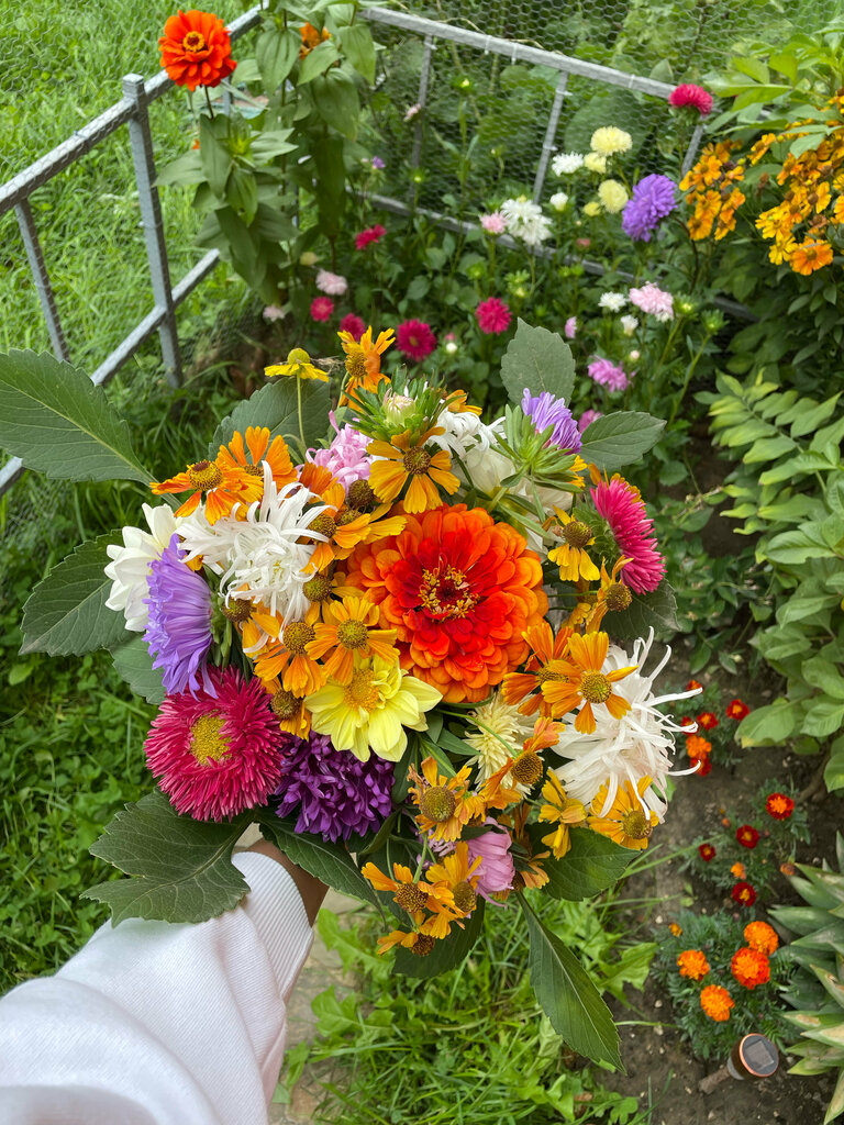 Çiçekçiler Волшебный палисадник, Moskova ve Moskovskaya oblastı, foto