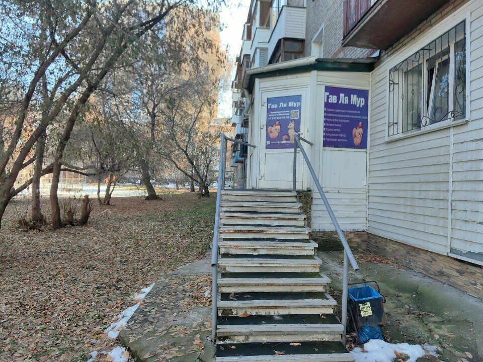 Evcil hayvan kuaförleri Зоосалон, Novosibirsk, foto