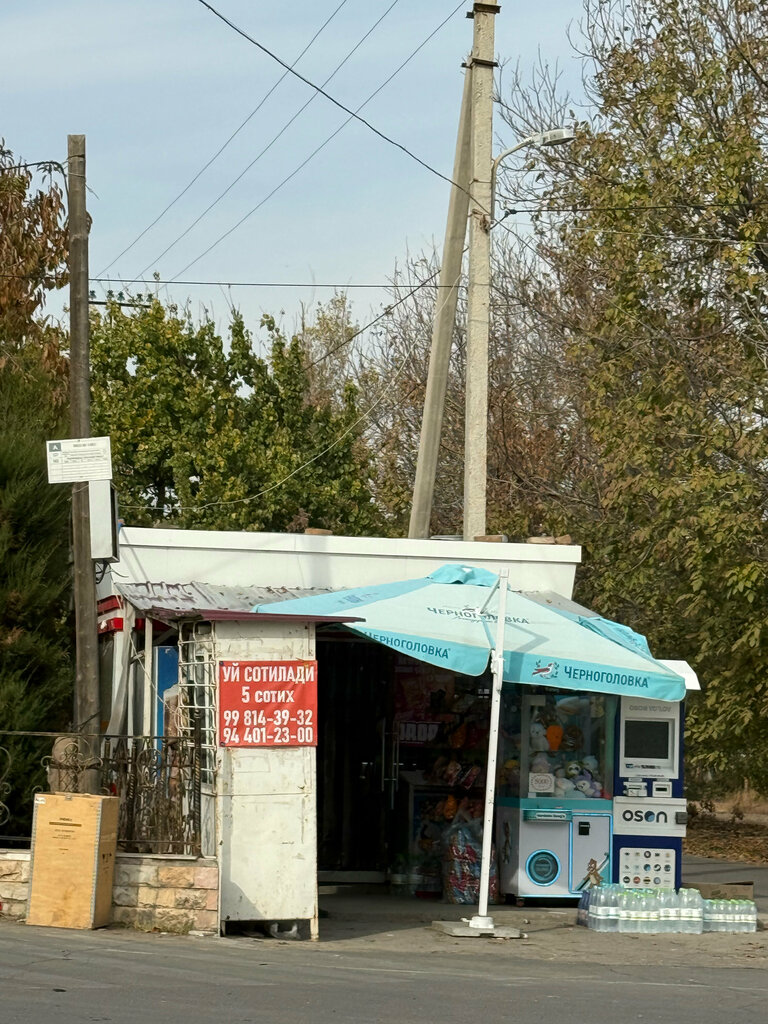 Market Groceries, Taşkent, foto