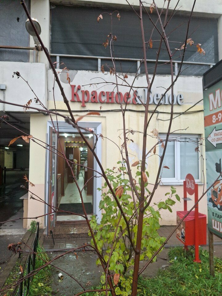 Market Krasnoe&Beloe, Saint‑Petersburg ve Leningradskaya oblastı, foto