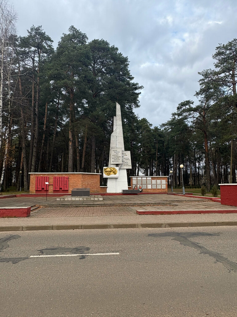 Anıt, heykel Воинское захоронение № 4164, Baran, foto