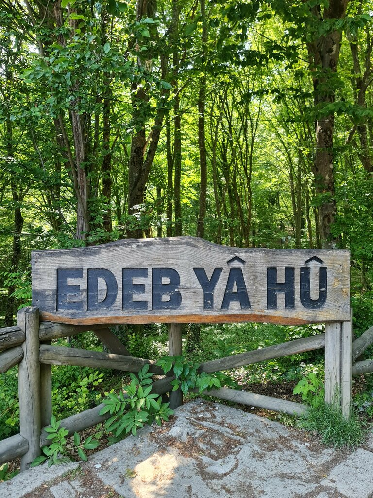 Piknik alanı Tokadi Hayrettin Mesire Alanı, Bolu, foto