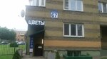 Золотая рыбка (Staravilienski Tract No:67), reklam ajansları  Minsk'ten