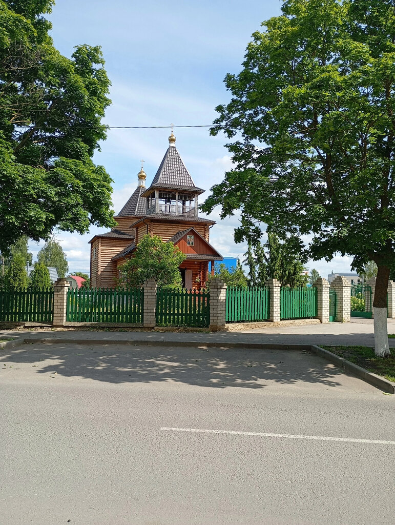 Ortodoks kiliseleri Церковь Архангела Михаила, Sasovo, foto
