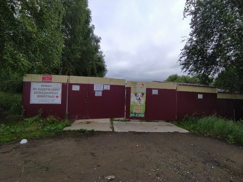 Hayvan barınakları, kulüpleri ve otelleri Приют для животных, Saransk, foto