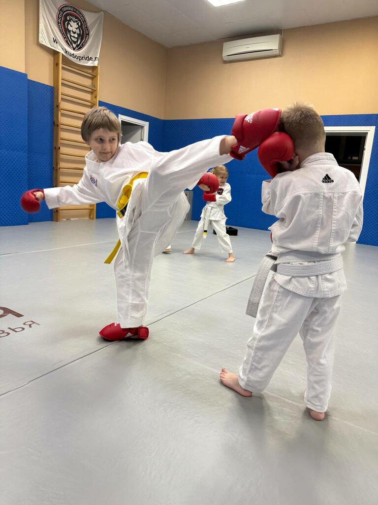 Spor kulüpleri School karate Nikolaevoj Antoniny, Moskova, foto