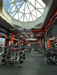 Lion Fitness Bastion (Dorozhnaya ulitsa No:63, Settlement of Sovkhoza Ostankino), fitness kulüpleri  Moskova ve Moskovskaya oblastından