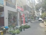 Magnolia (Xudu Mеmmеdov Street No:128G), çiçekçiler  Bakü'den