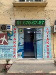 Авиабилетная касса (Burhoniddin Al-Margʻinoniy koʻchasi No:87B, Miltiqsoz mahalla fuqarolar yig'ini), uçak biletleri  Mergilân'dan