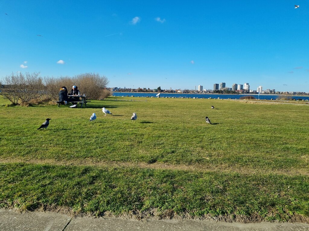 Kültür ve eğlence parkları Amager Strand, Kopenhag, foto