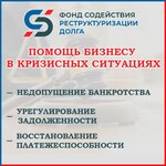 Фонд содействия реструктуризации долга (Chistoprudniy Boulevard No:5), mali müşavir  Moskova'dan