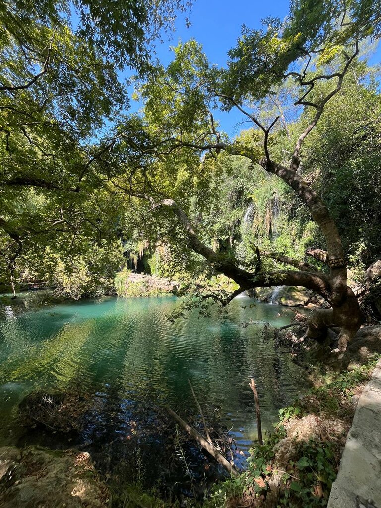 Restoran Kurşunlu Şelalesi Saklıbahçe Restoran, Antalya, foto