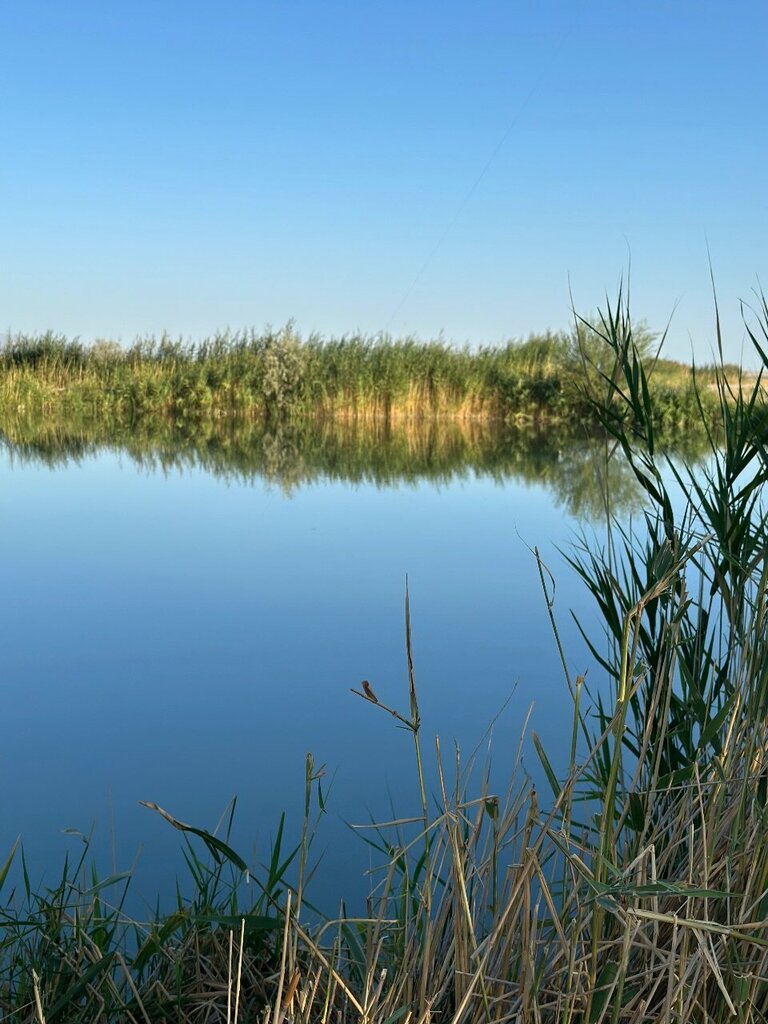 Pınar, çay water source Aulie-bastau, Jambıl eyaleti, foto