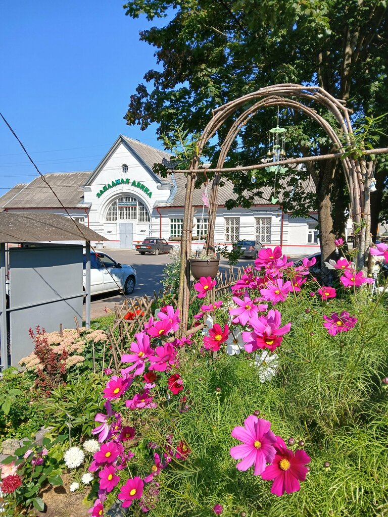 Otogarlar Avtostantsiya, Dvina, foto