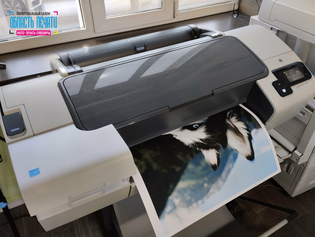 Fotokopi dükkanları Область Печати, Reutov, foto