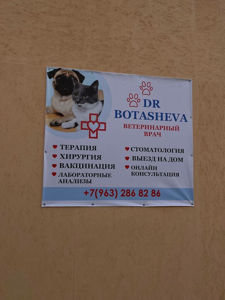 Veteriner klinikleri Доктор Боташева, Cherkessk, foto