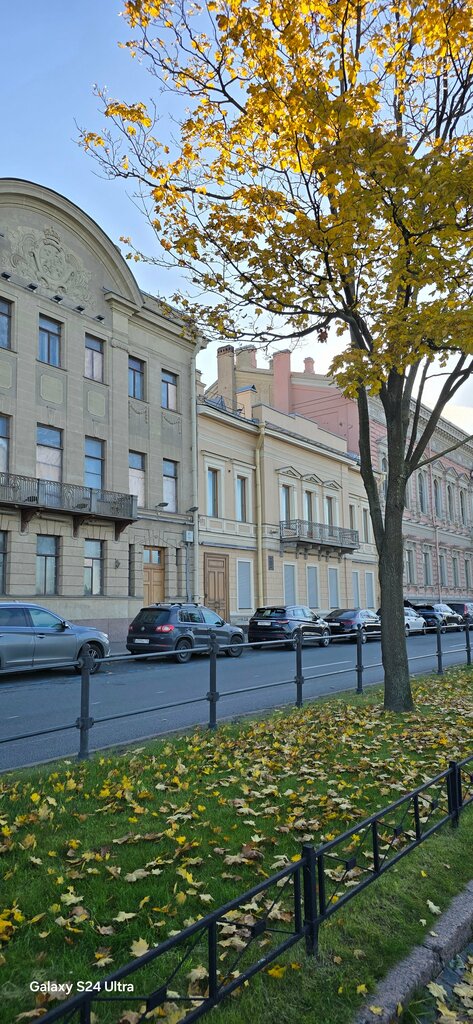 Turistik yerler Особняк П. Бетлинга - Дом шведского посольства, Saint‑Petersburg, foto