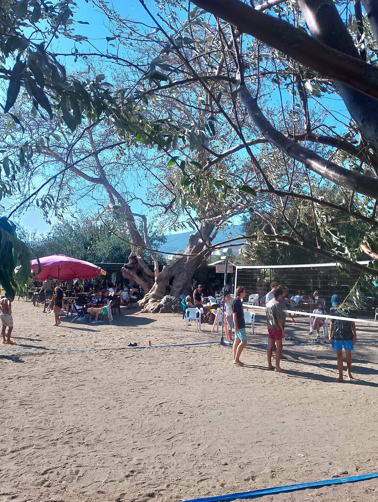 Plaj Çınaraltı Plajı, Edremit, foto