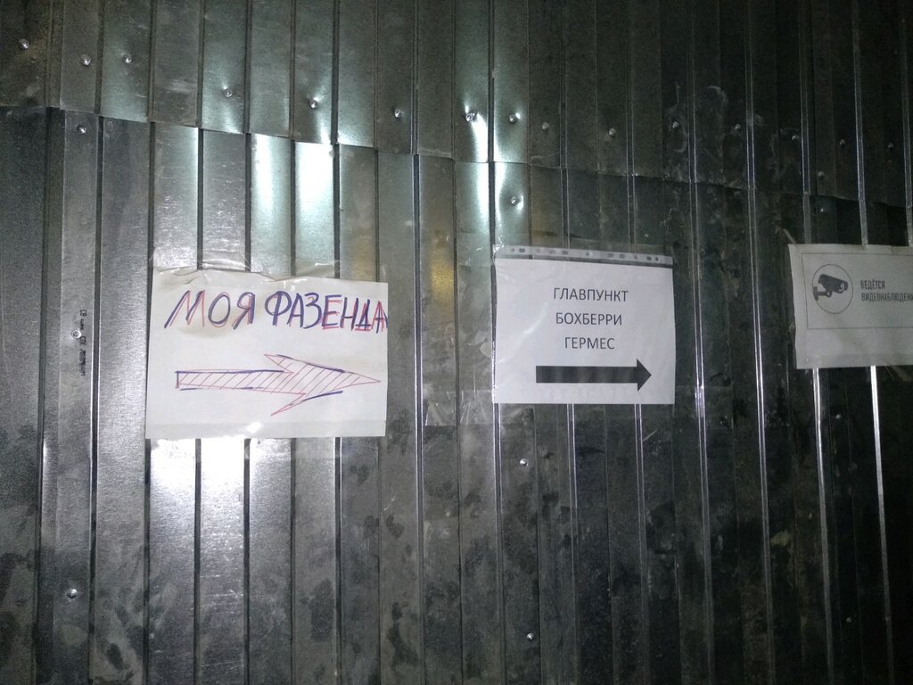 Petshop Antalis SPb, Saint‑Petersburg, foto