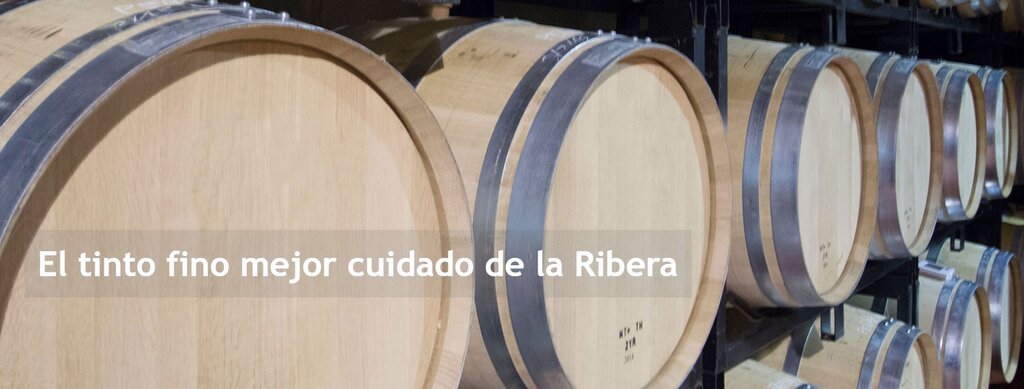 Şarap ve içki toptan satışları Bodegas Zifar, Kastilya ve Leon, foto