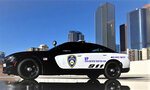 Vp Security Services Inc (United States, San Jose, 888 N. 1st Street #222), zabıta  San Jose'den