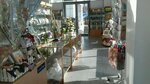 Магазин картин (Akademika Vargi Street No:8к1), tuhafiyeler  Moskova'dan