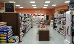 Dog & Cat Market (Tuscany, Arezzo, Via Romana, 8), petshop  Arezzo'dan