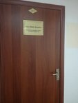 Go-web (Абай даңғылы No:52В), web tasarım hizmetleri  Almatı'dan