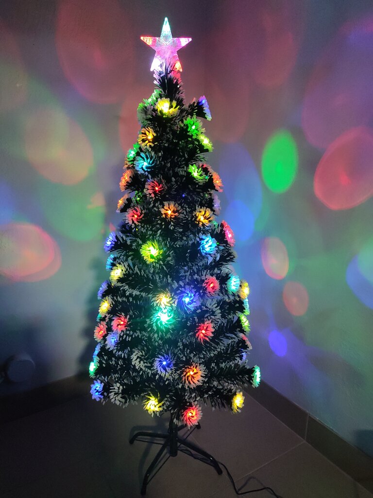 Yapay bitki ve çiçek Artificial Christmas Trees, Vidnoye, foto