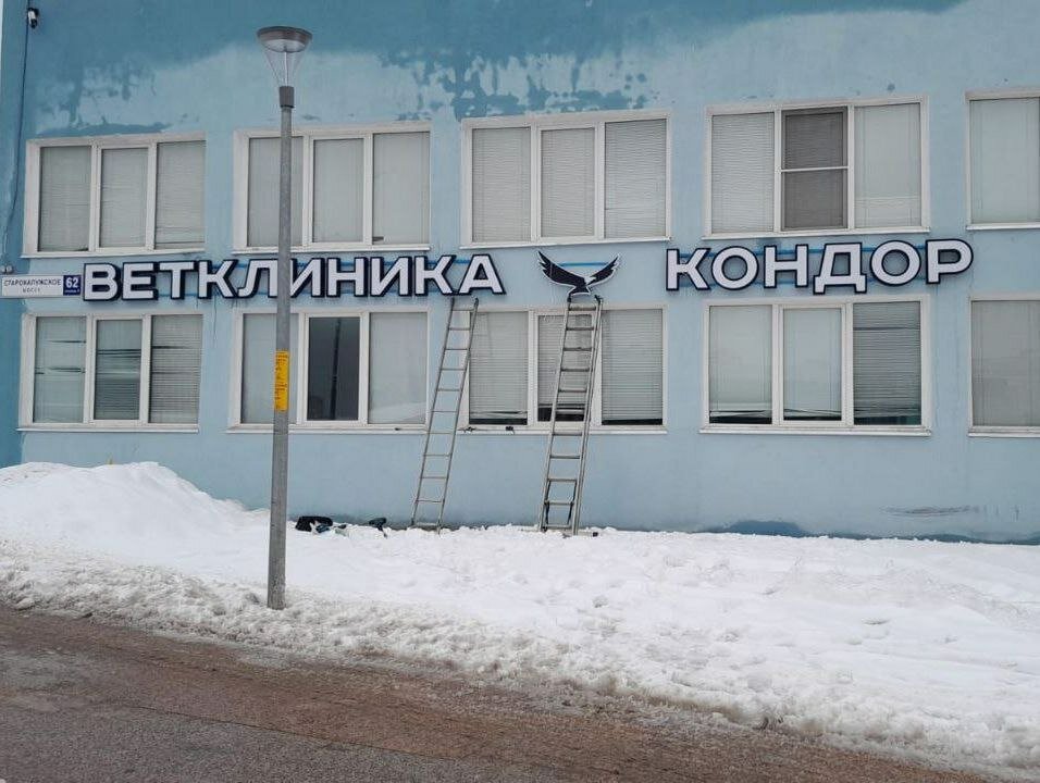 Veteriner klinikleri Condor, Moskova, foto