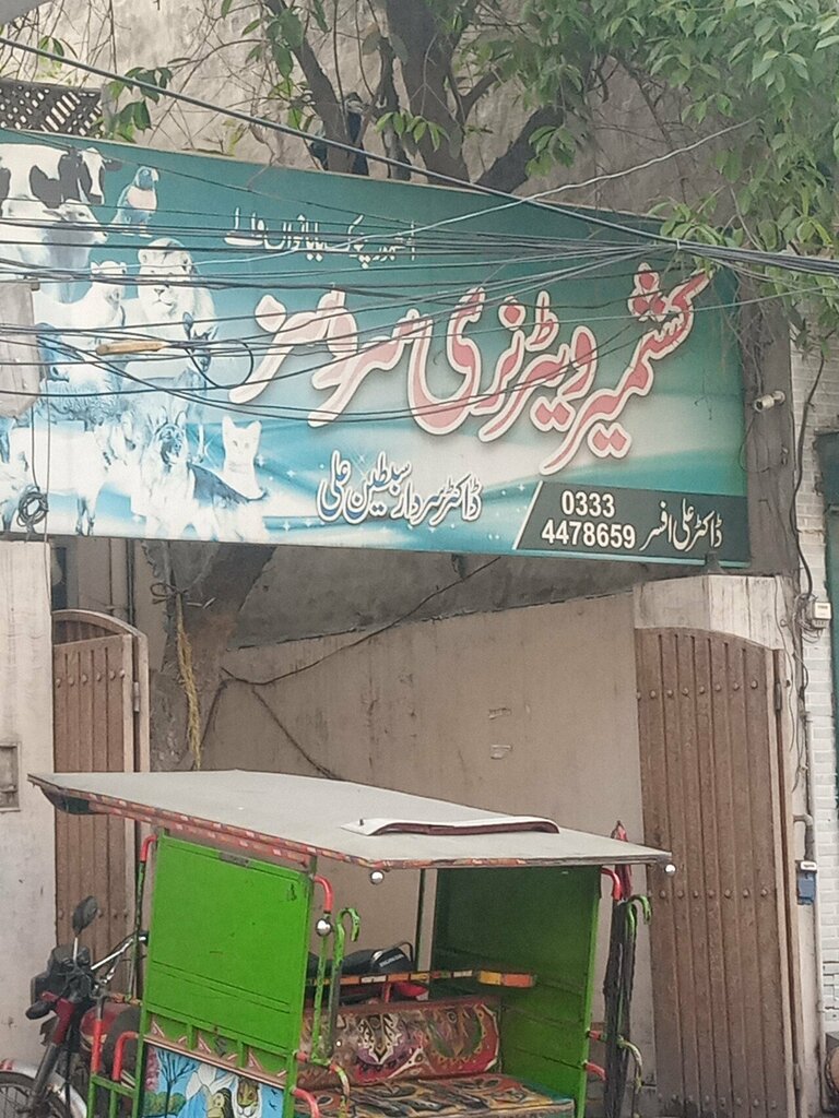 Veteriner klinikleri Kashmir Veternity Services, Lahor, foto
