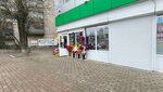 Искусственные растения и цветы (Korabelnaya Street No:2, rayon Dyadkovo, Yaroslavl), yapay bitki ve çiçek  Yaroslavl'dan