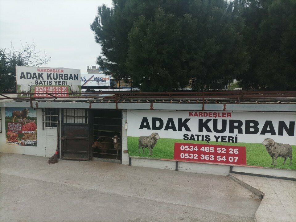 Hayvancılık Kardeşler Adak Kurban Satış Yeri, İstanbul, foto