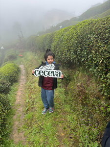 Çeçeva Cayluk Cafe Nargile (Rize, Çayeli, Haremtepe Köyü), kafe  Çayeli'nden