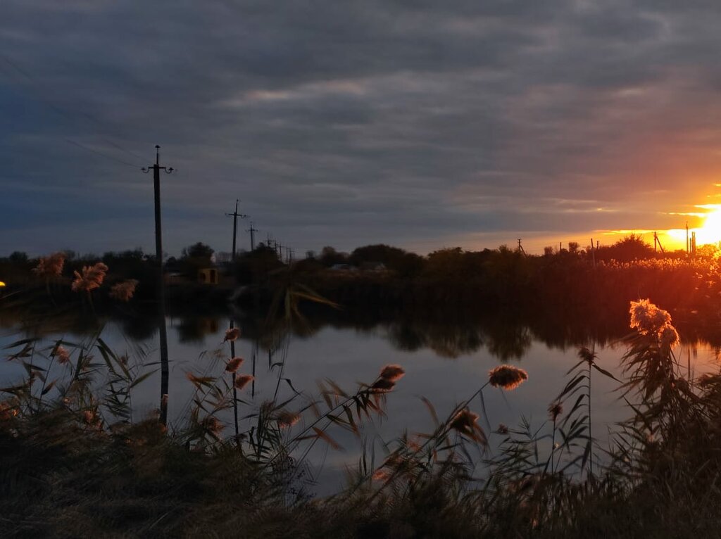 Balık çiftçiliği ve toptancıları Михайловские озера, Krasnodarski krayı, foto