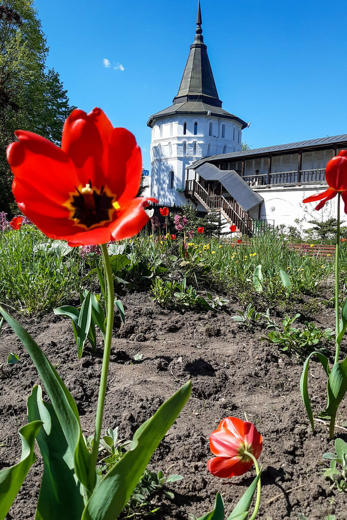 Turistik yerler Георгиевская башня, Moskova, foto