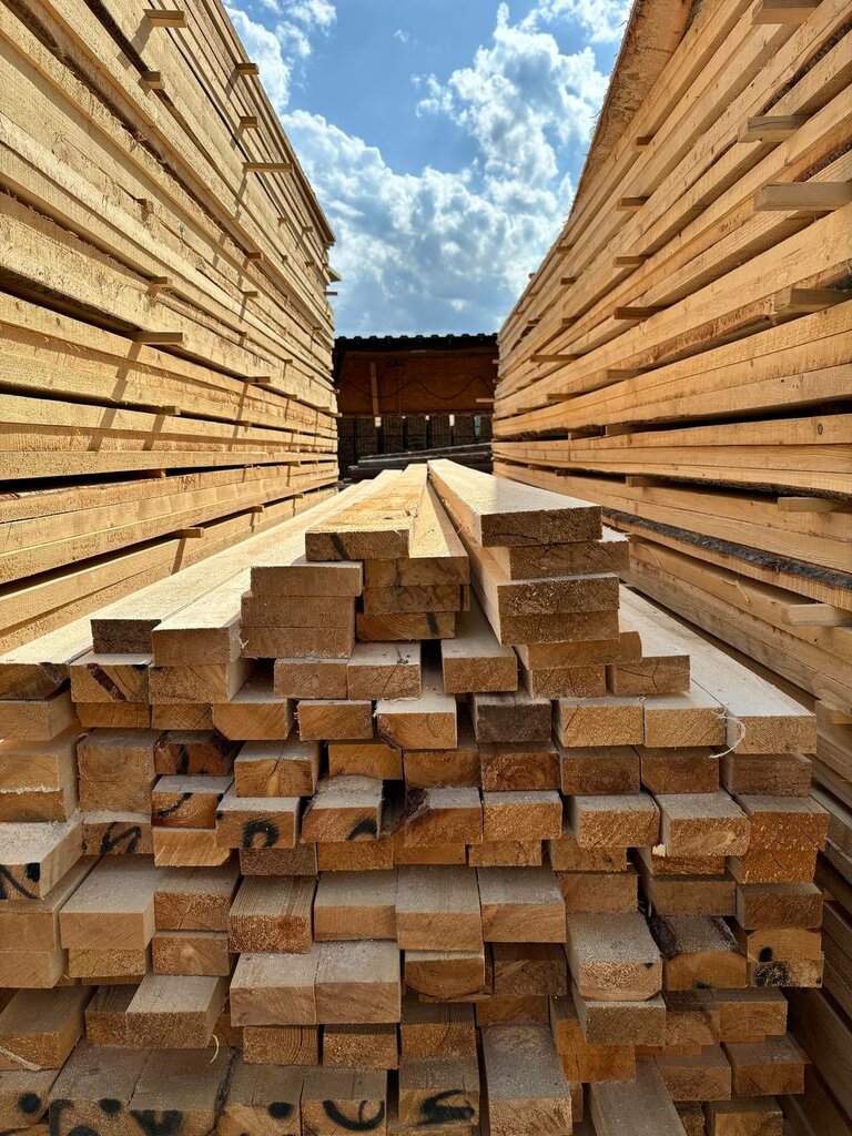 Kereste üretim ve satış şirketleri Промбизнес, Perm, foto