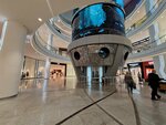 Aquarium (Kutuzovsky Avenue No:57), akvaryum  Moskova'dan