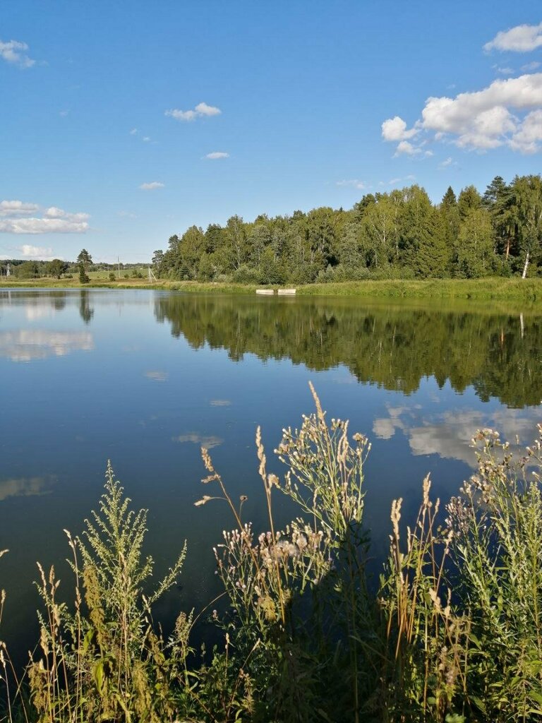 Tatil köyleri Золотой Карась, Vladimirskaya oblastı, foto
