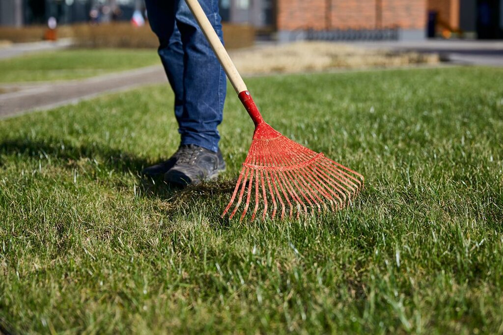 Konut servisleri kuruluşları Управление комфортом, Saint‑Petersburg, foto