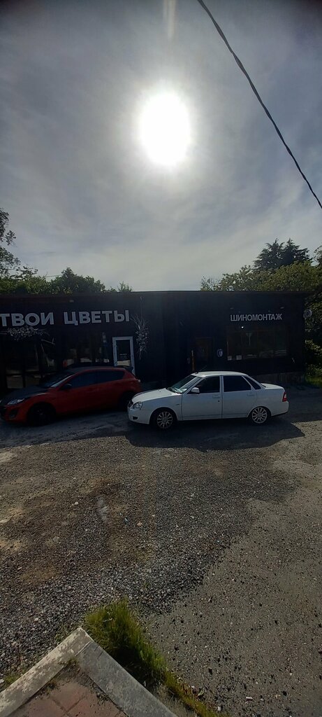 Oto lastik tamiri Шиномонтаж, Soçi, foto