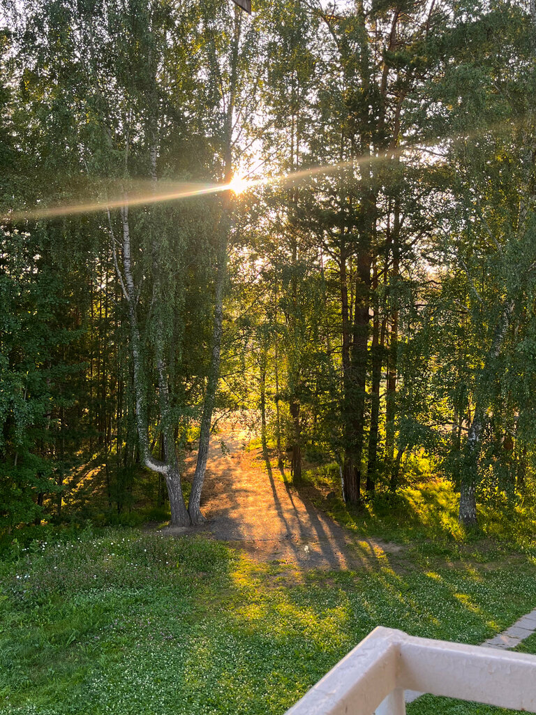 Doğa Дерево 41, Sverdlovskaya oblastı, foto