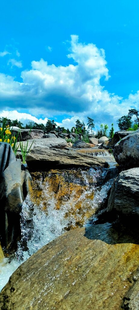 Park, sokak heykeli Центральный лесной оракул МишМаш, Moskova ve Moskovskaya oblastı, foto